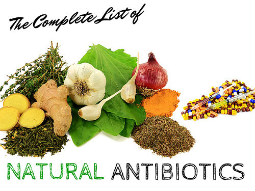 The 15 Best (Proven) Natural Antibiotics -Foods & Herbs | by Meital ...