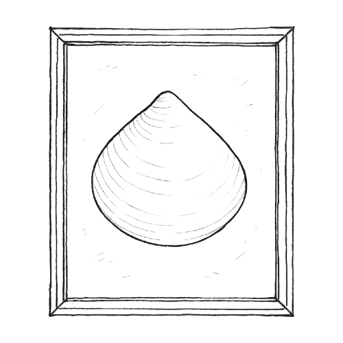 The Shell - Megan Bryant - Medium