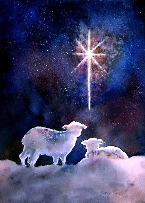 The Sheep Who Chased the Stars. James was the smallest sheep in his ...