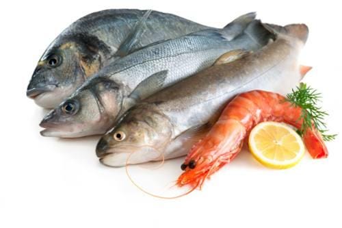 Do vegans eat fish? | by 🌱VEGi1 - Veganism Online magazine | Medium