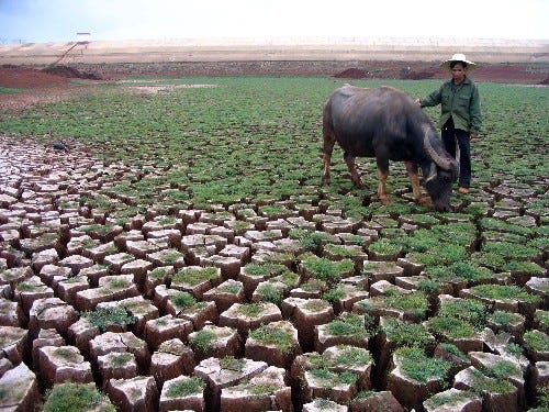 The Effects of Climate Change: Drought | by Ethan McLaughlin | Medium