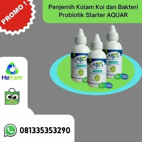 Penjernih Kolam Koi dan Bakteri Probiotik Starter, Terbaik dan Murah ...
