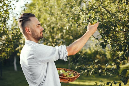 How To Highlight Trees In Your Landscape | by Jack Warn | Medium