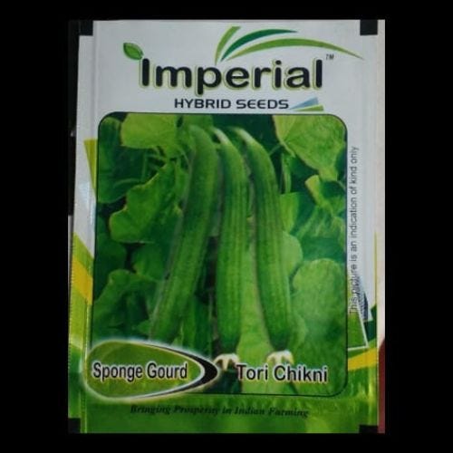 A Gardener’s Guide to Choosing the Best Seeds for Your Garden | by ...