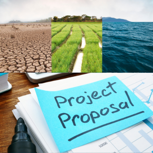 Why Your Climate Proposal Was Rejected (And How to Make It Stronger ...
