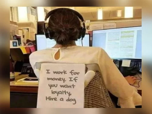 15 Hilarious Memes That Will Help You De-Stress & Unwind - Chameleon ...