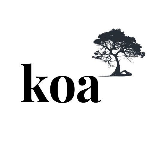 What is Koa.js & How to setup your First Koa.js Project. | by ...