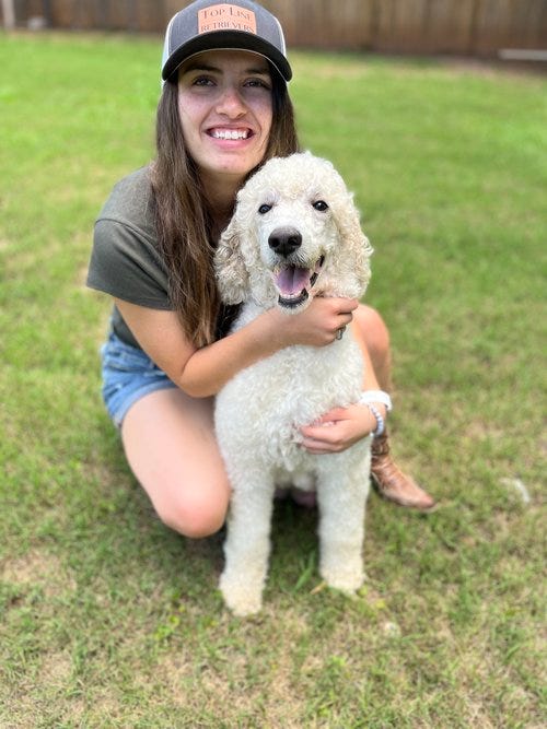 Goldendoodle - Much Doodle - Medium