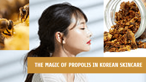 The Magic Of Propolis In Korean Skincare | by Martins | Medium