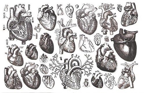 A Picture Of Health . Using drawings as a psychometrict… | by Miss Anna ...