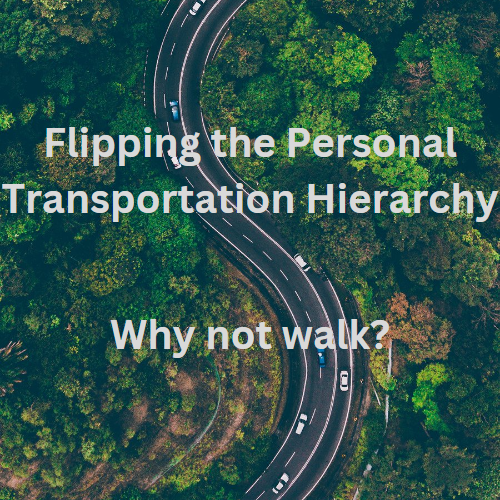 Why Not Walk | by Ann Leach | ILLUMINATION
