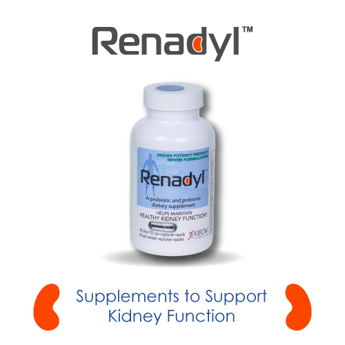 Renadyl™ — Kidney supplements. Supplements to support kidney… | by ...