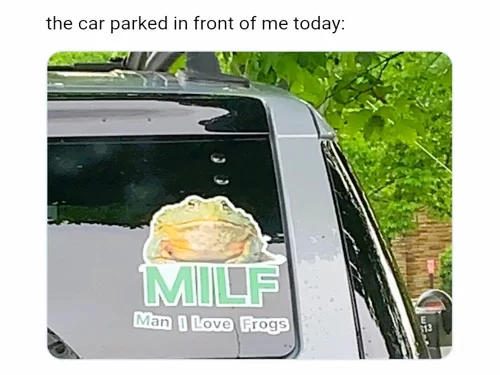 20 Frog memes for Victoriously Hoppin’ into Hilarity - Chameleon Memes ...