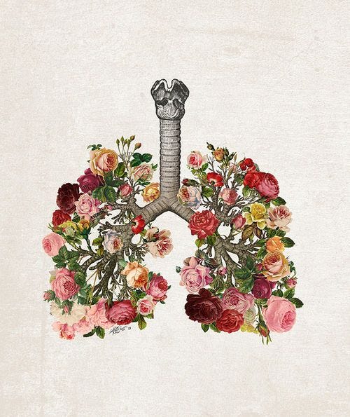 How to…use your breath. Breathing, it’s pretty fundamental… | by How to ...
