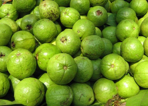 Life, Lessons and Guavas. For a minute, the enormous mound of… | by ...