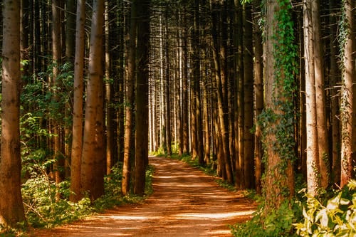 The Proven Path to Building an Enduring Reputation | by Diane Jiang ...