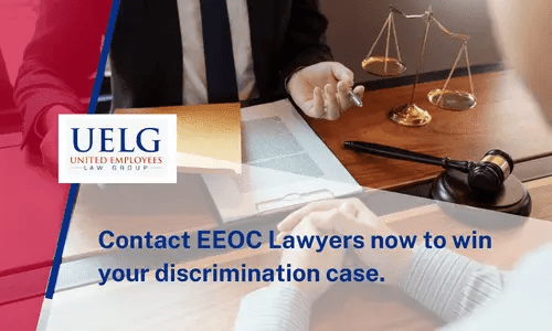 What is the role of EEOC lawyers in fighting discrimination for ...