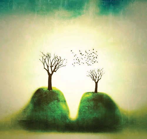 Nation Undivided: Growth Happens When We Accept Our Differences and ...