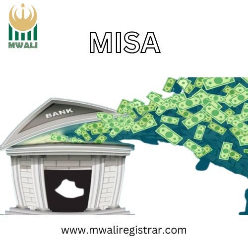 Why Do Students Need an Offshore Bank Account At MISA? - Mwali ...