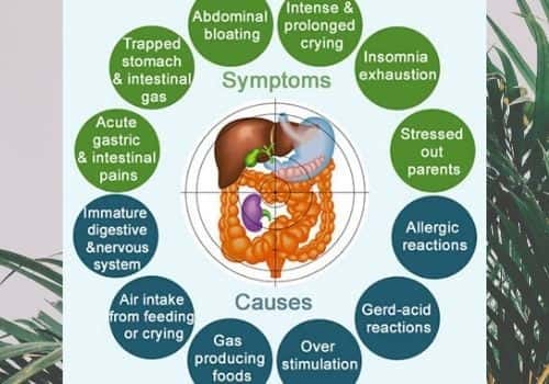 Digestive Issues Gas Bloating Cramps Nausea & Burping Causes & Quick ...