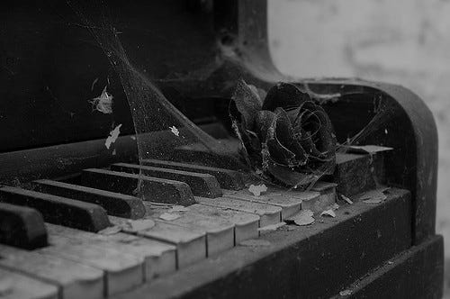 Still. When does the dead kick in? When does… | by Sherri Grandidier ...