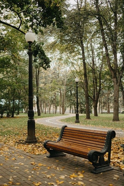 An Evening in The Park. An unexpected conversation on a chilly… | by Saumya Dubey | Medium
