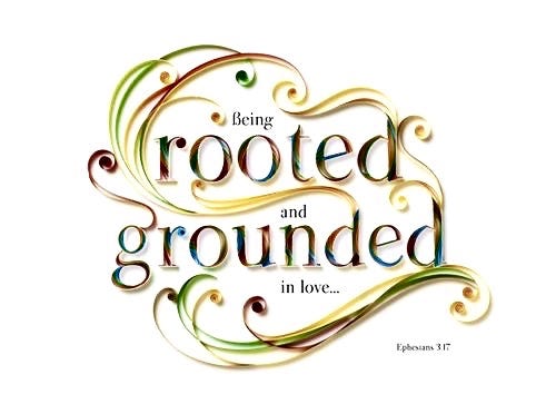 In Chaos, Choose Steady and Stay Rooted and Grounded | by Carol ...