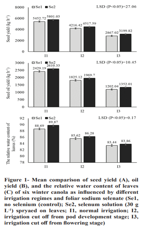 Effect Of The Application Of Foliar Selenium On Canola Cultivars As
