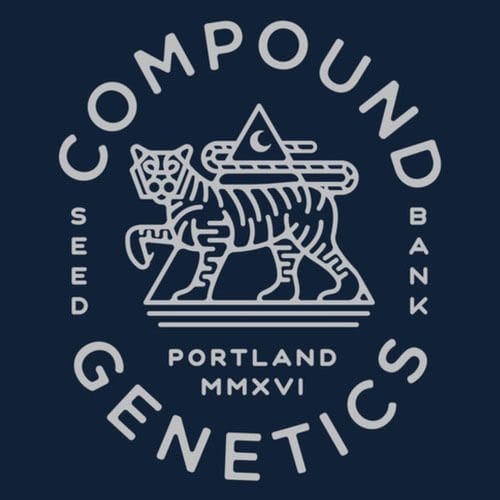 91 OCTANE (FEMS) — Genetic Seeds Drop - Alexandra Behette - Medium