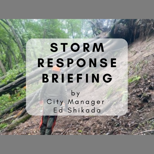 Storm Response Briefing. Recap of City Council Update on January… | by ...