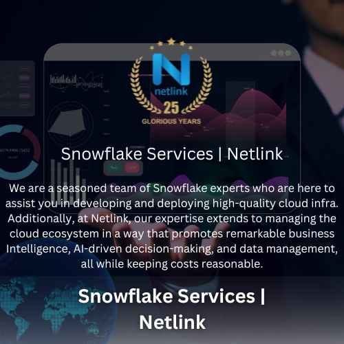 Snowflake Services | Netlink - Netlink - Medium