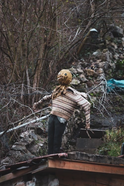 Of Scarecrows and False Causes. Critical Thinking Lesson 2 | by Matthew ...