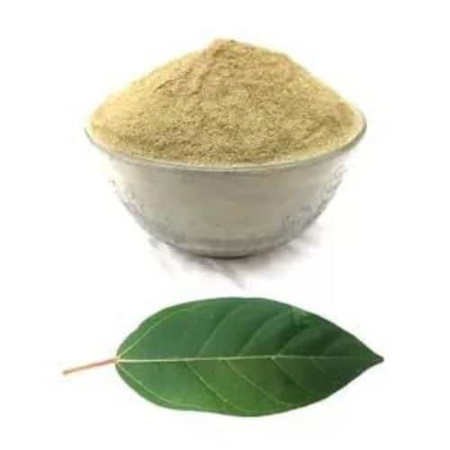 Ficus racemosa Extracts Supplier in United States - herbl - Medium
