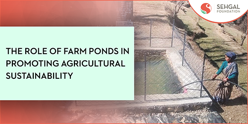 The Role Of Farm Ponds In Promoting Agricultural Sustainability ...