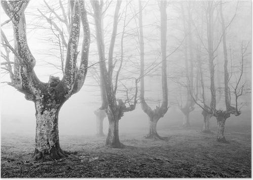 The Tree (Blood Never Forgets)-A Short Horror | by Delta B. McKenzie ...