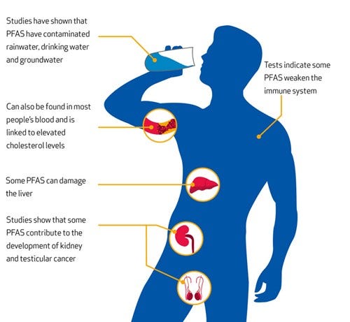 What are the forever chemicals? | Medium