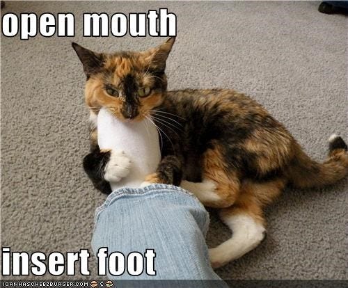 Hyperventilating Cat Meme