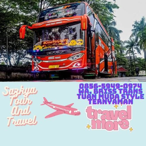 Bus Briss Trans - Leonasabrilia - Medium