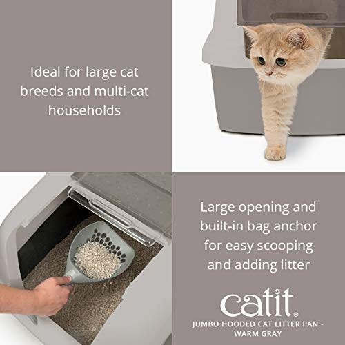 Pamper Your Feline Friend: Must-Have Imported Cat Accessories in India ...