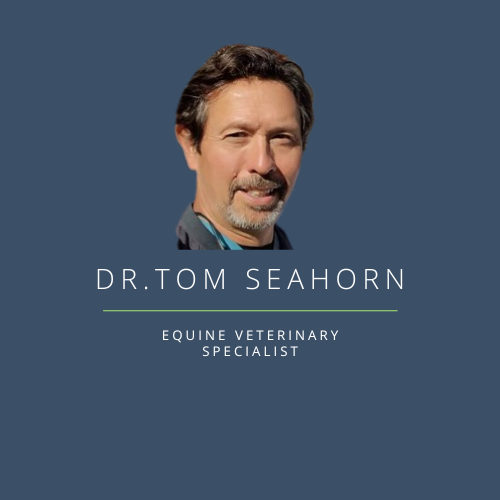 Welcome to Dr. Tom Seahorn’s Equine Health Hub! | by Dr. Tom Seahorn | Sep, 2023 | Medium