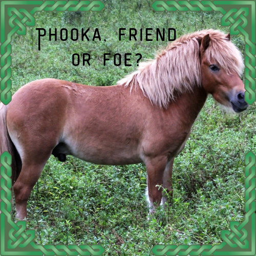 The Faery Horse. Phooka, Friend or Foe? | by Magick Mystic | Medium