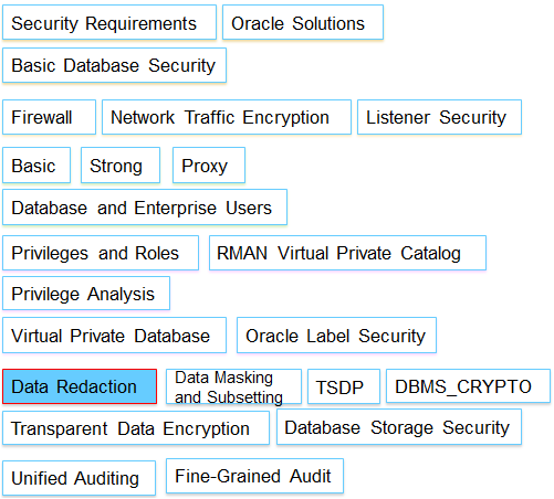 Implement Oracle Data Redaction Advanced Protection for the Oracle ...
