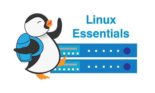 Essential Linux Commands Every DevOps Engineer Must Know | by Tahiraakram | Jun, 2024 | Medium