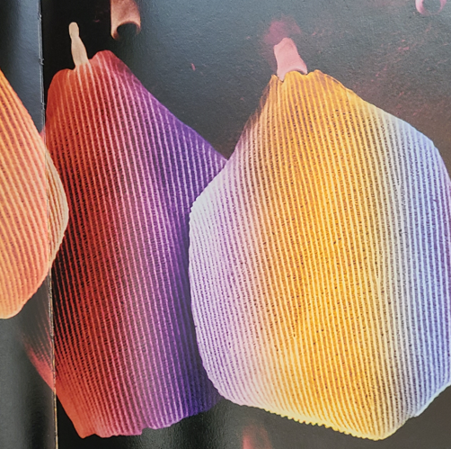 The Monarch Butterflies wings and scales — Wonders of Creation | by ...