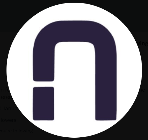 Unveiling Nesa: A Revolutionary Layer-1 for Trusted AI On-Chain | by Anubis Crypto Blog | Medium
