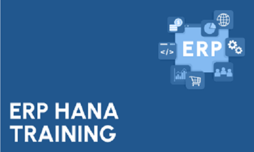 ERP SAP HANA Course in Gurgaon - Anil sharma - Medium