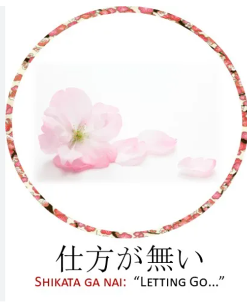 “Shikata Ga Nai: Embracing the Unchangeable and Riding the Waves of ...