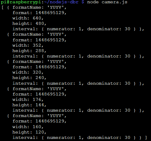 Node.js Barcode Scanner with UVC Camera for Raspberry Pi | by Xiao Ling ...