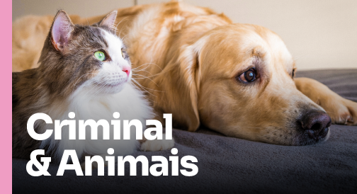 Criminal & Animais. Coordenadoria de Proteção e Defesa da… | by ASCM ...