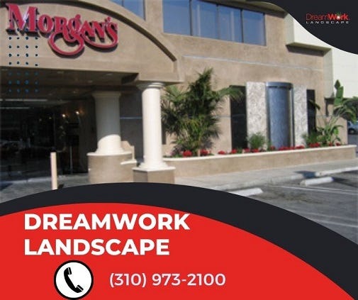 Transforming Outdoor Spaces: Elevate Your Surroundings with DreamWork ...
